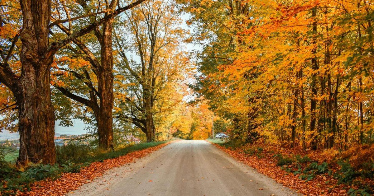 VLCT Annual Report 2024 | Vermont League of Cities and Towns