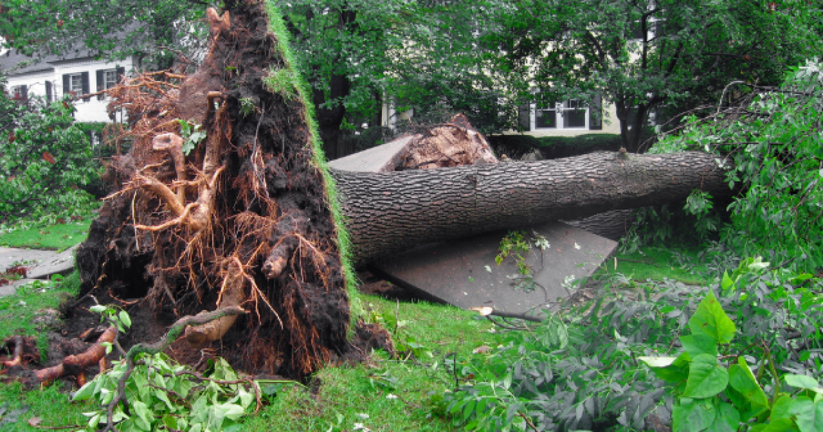 VEM: FEMA R1 EHP (Environmental Historic Preservation) Disaster ...