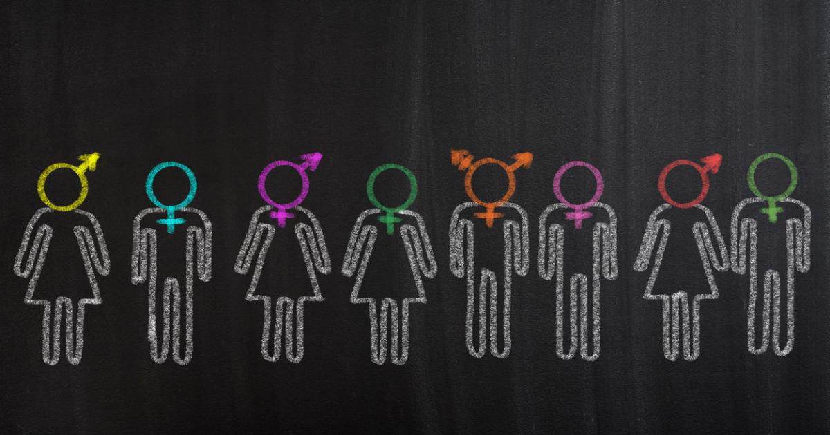 Best Practices for Accommodating Nonconforming Gender Identities in the ...